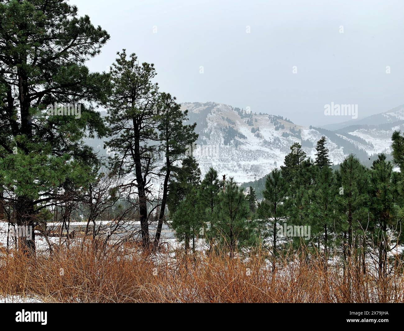 America ruidoso hi-res stock photography and images - Alamy