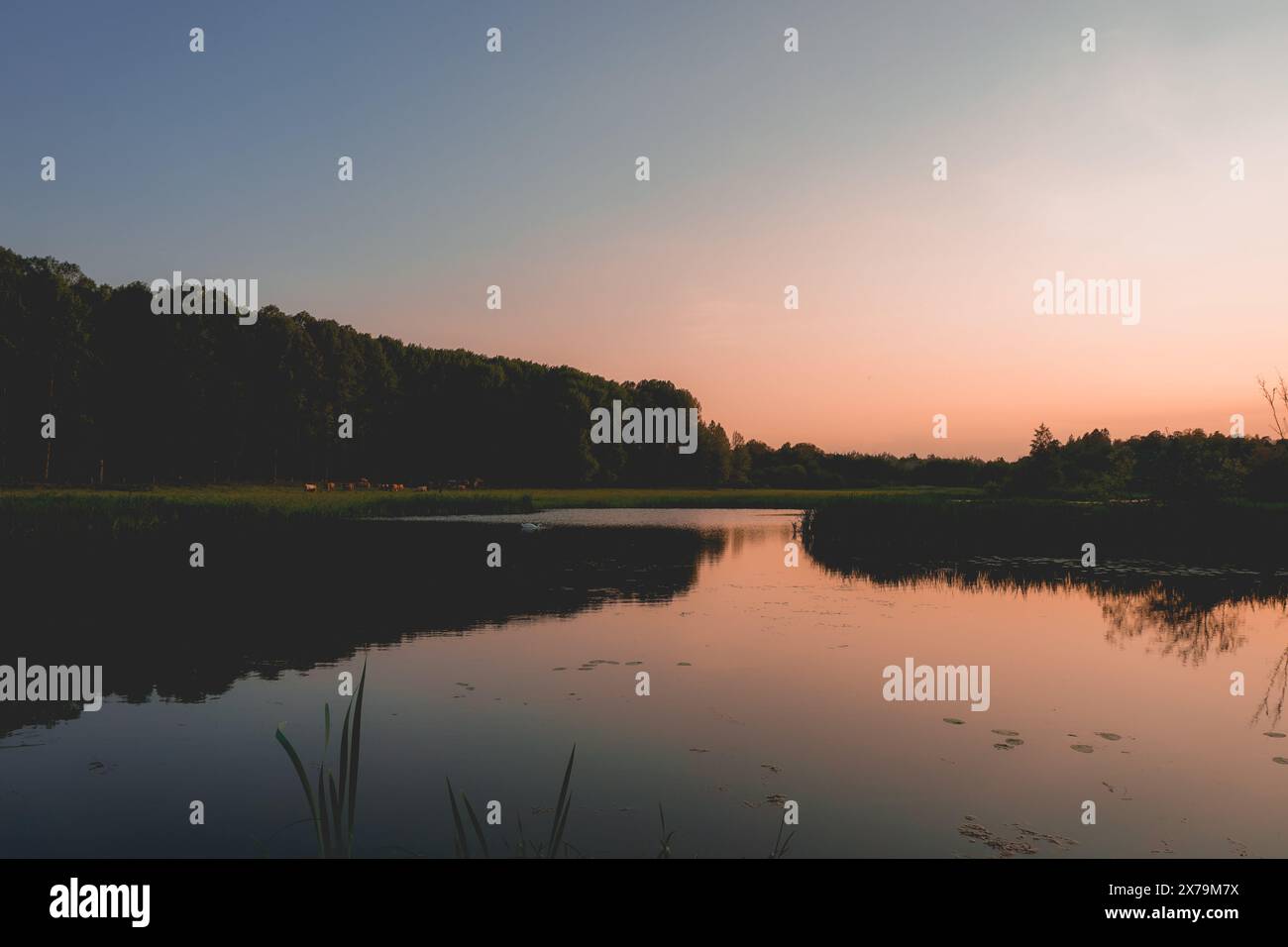 Aerial cloud view lake grassland hi-res stock photography and images ...