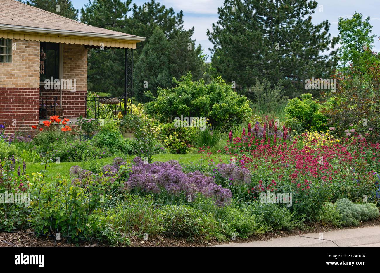 A beautiful house garden filled with blooming flowers of different ...