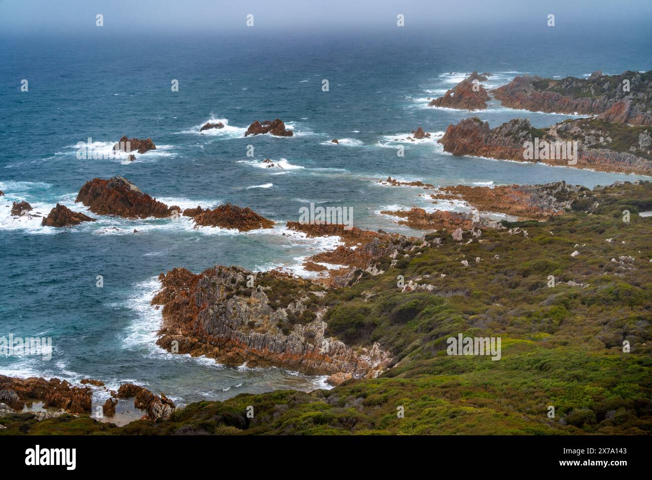Windswept rocky coastline and heath-covered hills of Rocky Cape ...