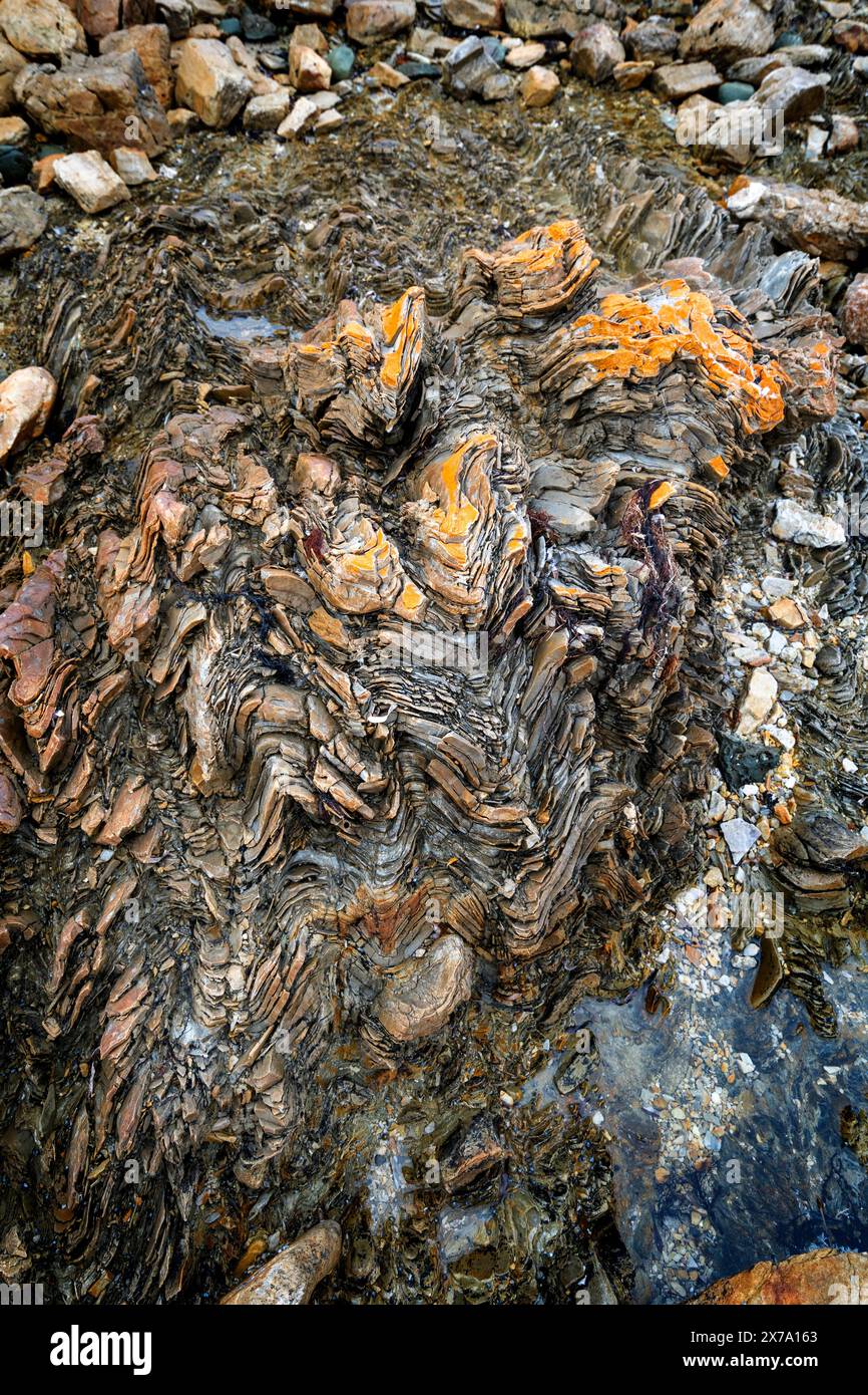 Weathered orange Lichen covered rocks of precambrian quartzites, Rocky ...