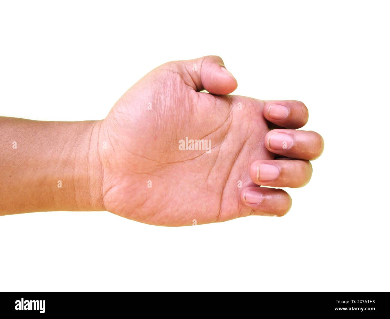 Kumade Zuki, bear claw's hand position Stock Photo - Alamy