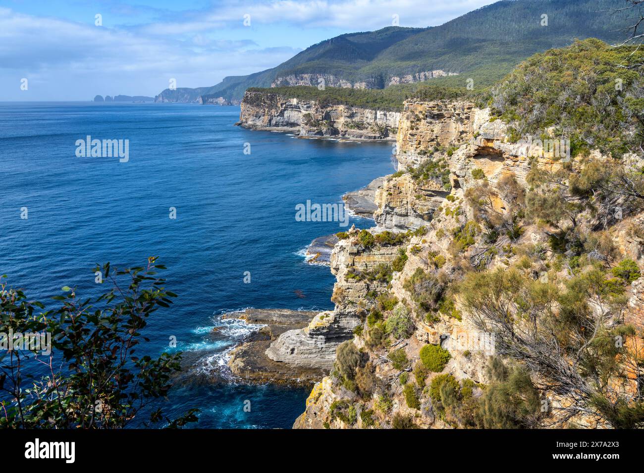 View of sea cliffs from Cliffs Lookout Point, Tasman Peninsular ...