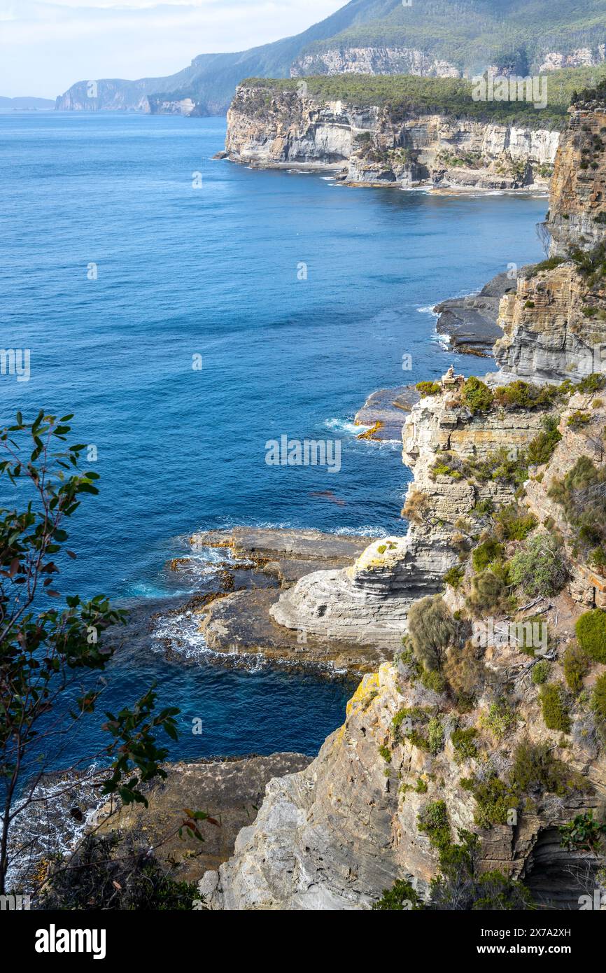 View of sea cliffs from Cliffs Lookout Point, Tasman Peninsular ...