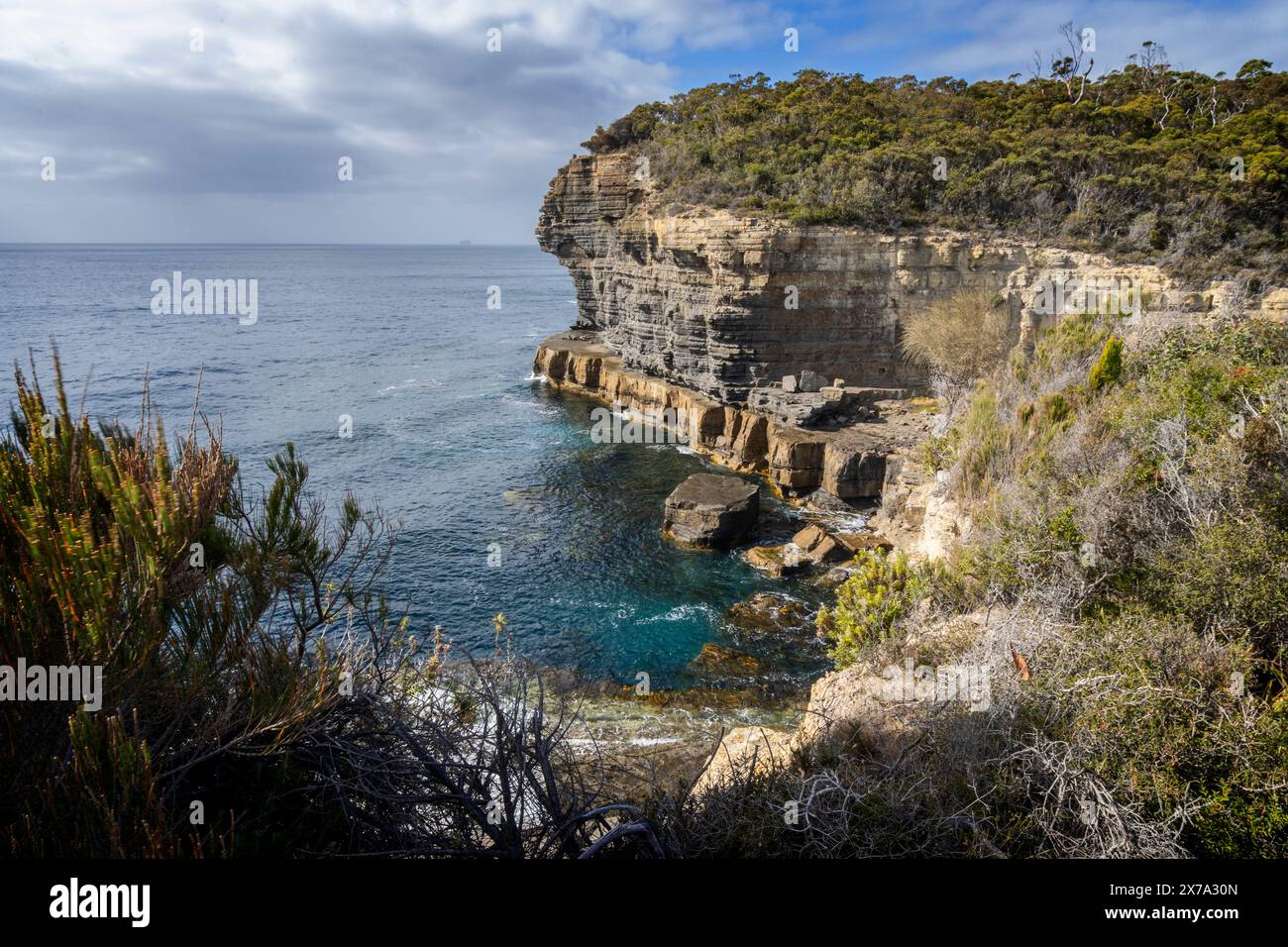 View of sea cliffs from Cliffs Lookout Point, Tasman Peninsular ...