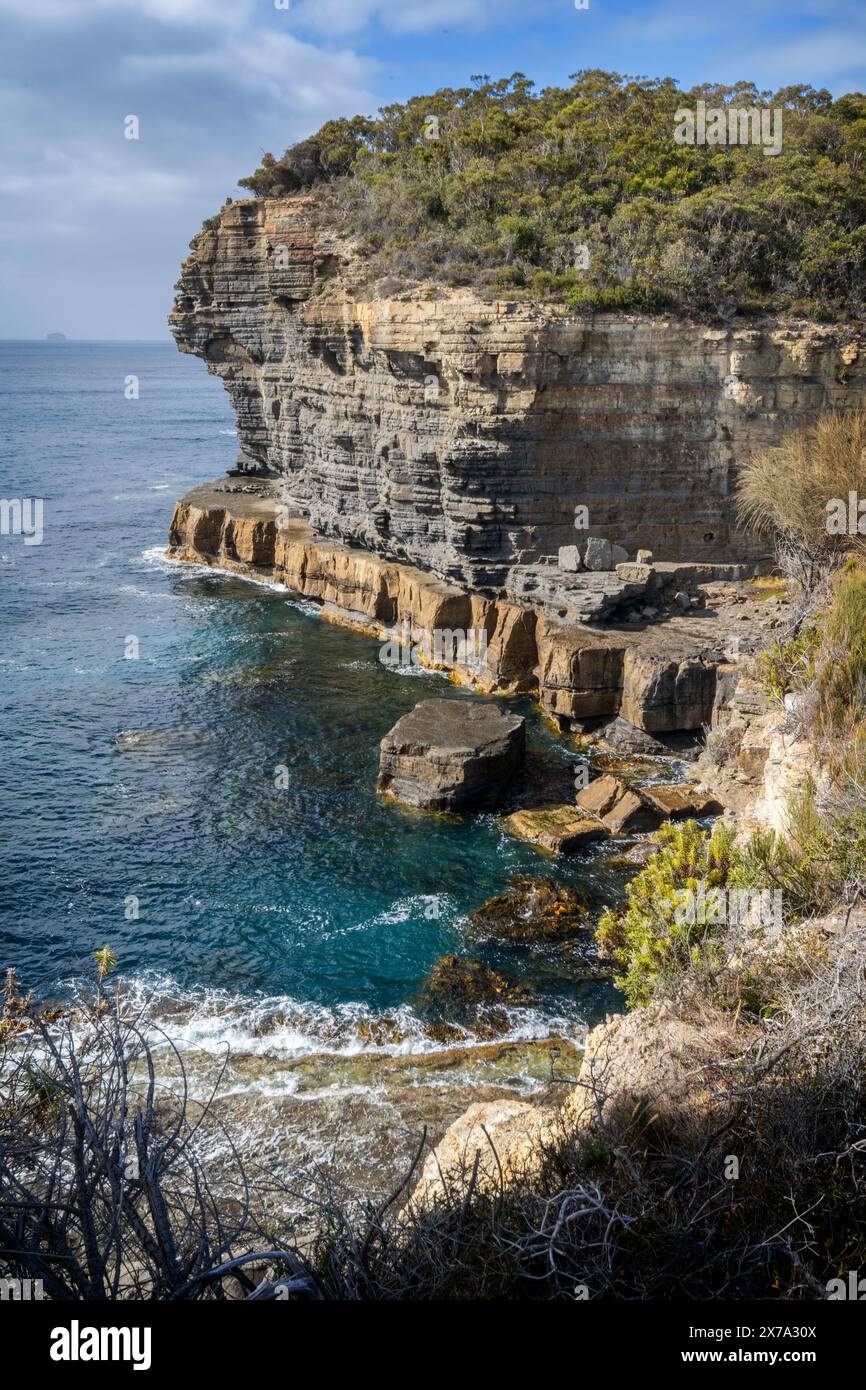View of sea cliffs from Cliffs Lookout Point, Tasman Peninsular ...
