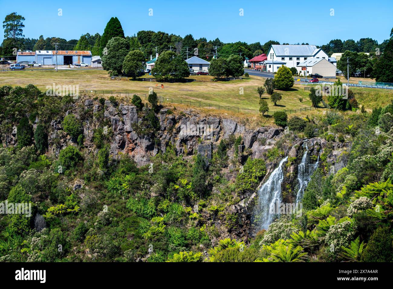 Waratah island hi-res stock photography and images - Alamy