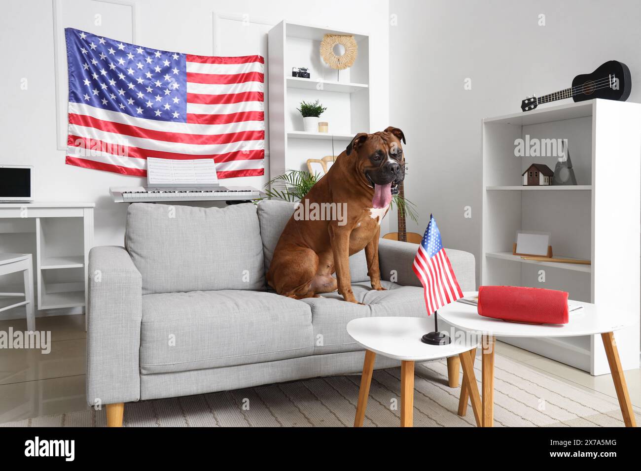 Boxer dog american flag hi-res stock photography and images - Alamy