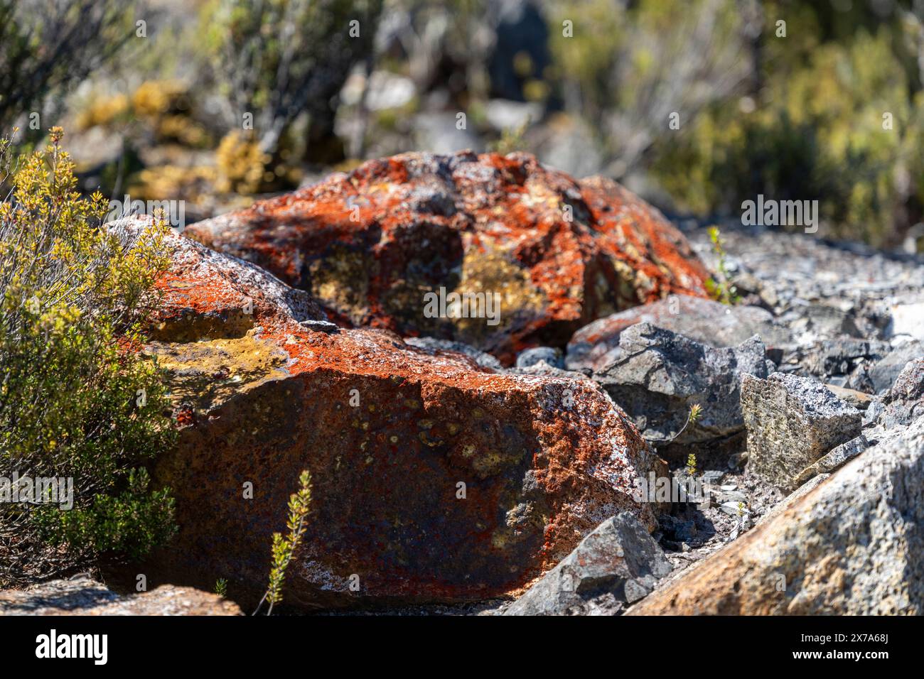 Discoloured rocks in abandoned mining area at Mount Biscoff Tin Mine ...