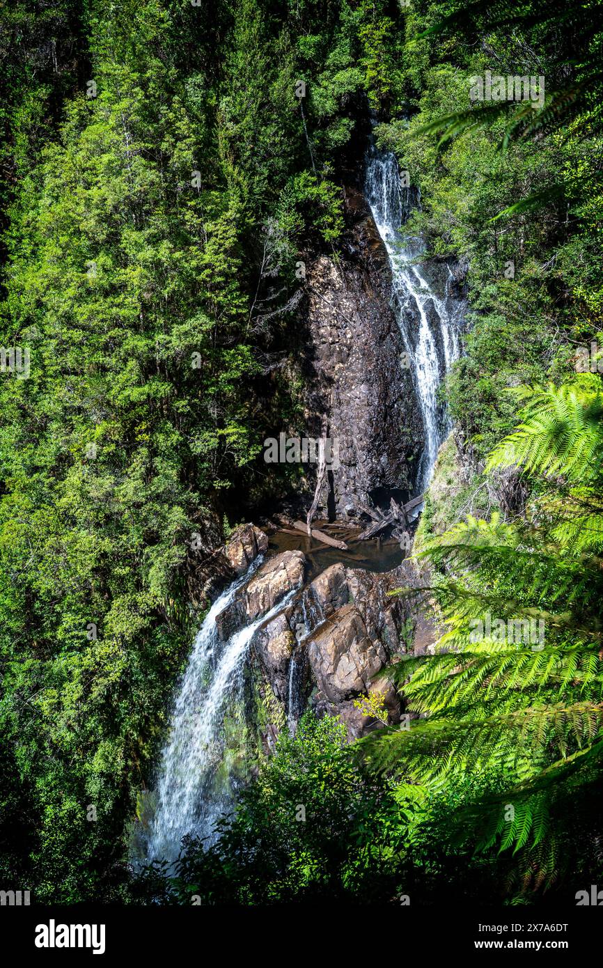 Philosopher Falls, Waratah, Tasmania Stock Photo - Alamy