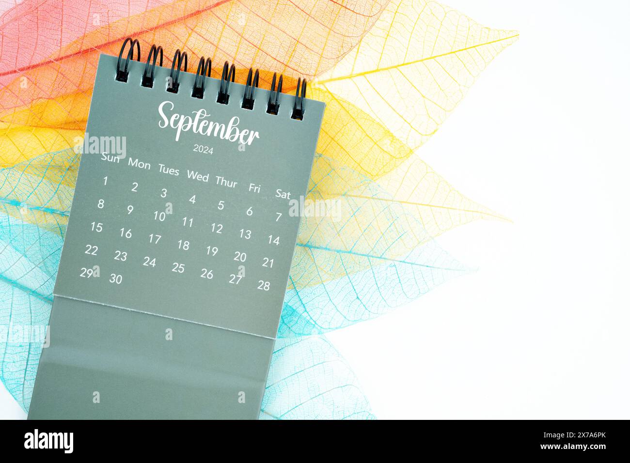 September 2024 monthly desk calendar and fiber structure of dry leaves ...