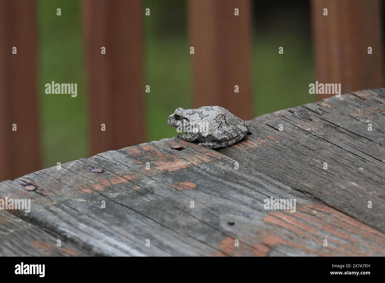 Sitting on wood slats hi-res stock photography and images - Alamy