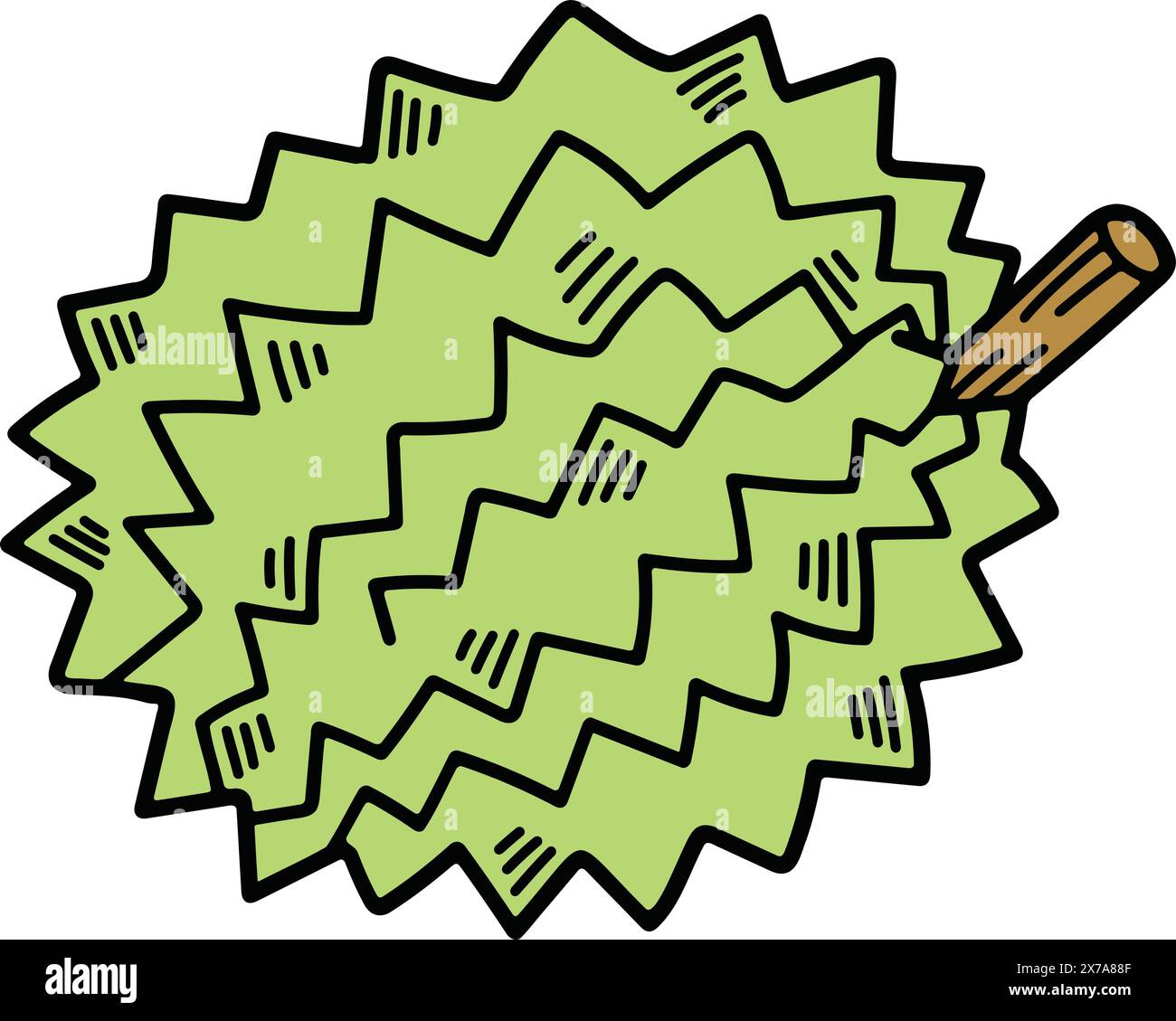 Durian line drawing hi-res stock photography and images - Alamy