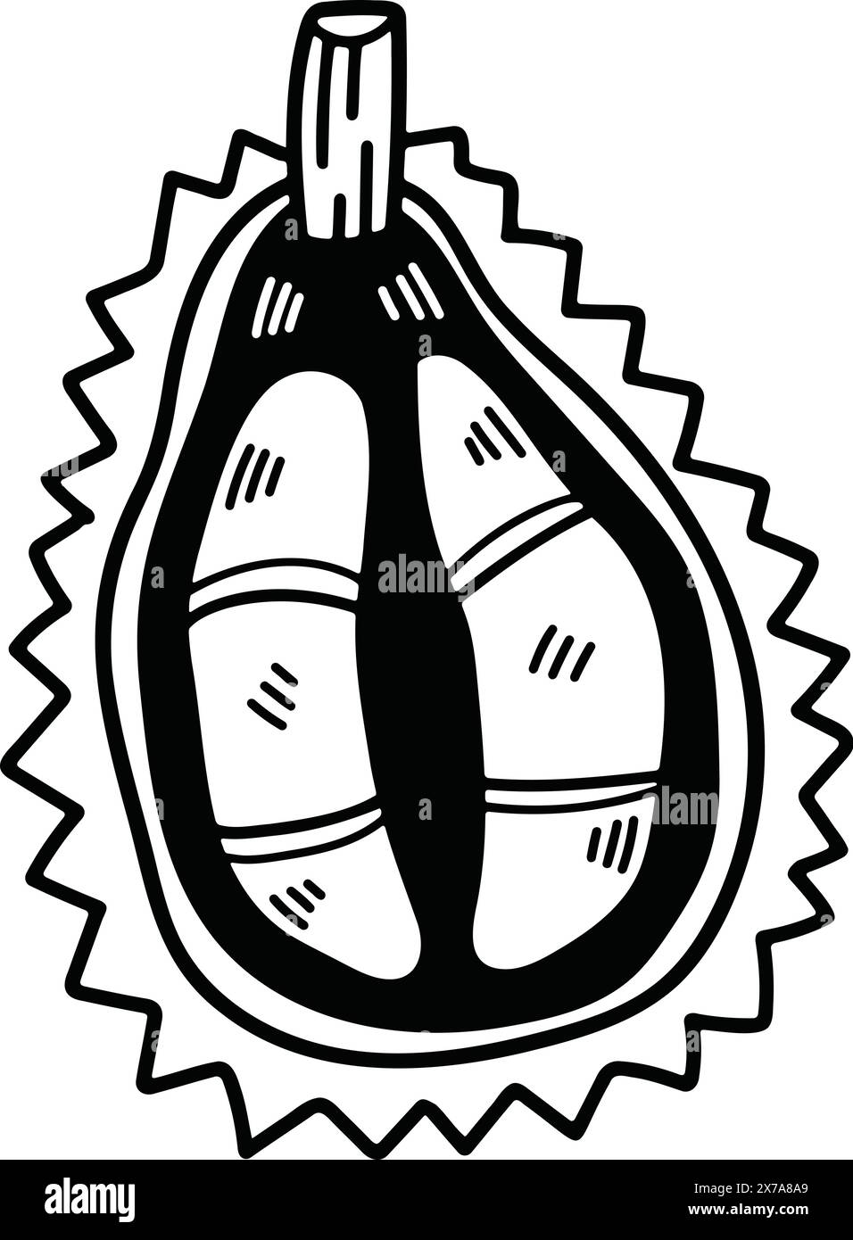 Durian line drawing hi-res stock photography and images - Alamy