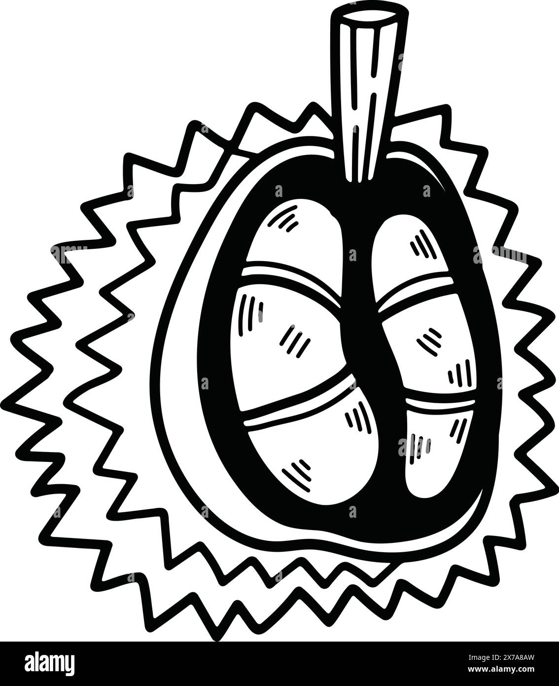 Durian line drawing hi-res stock photography and images - Alamy