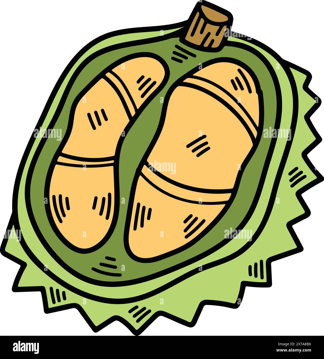 Durian line drawing hi-res stock photography and images - Alamy