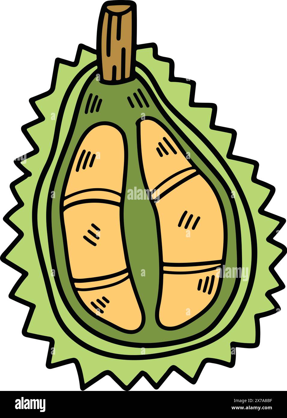Durian line drawing hi-res stock photography and images - Alamy