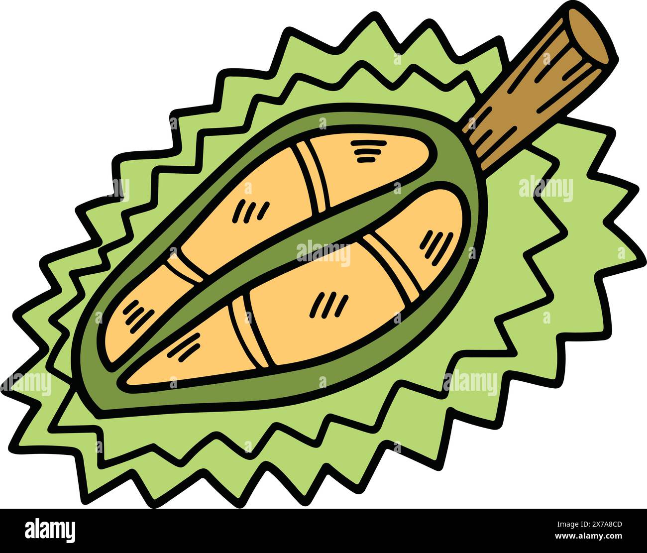 Durian line drawing hi-res stock photography and images - Alamy