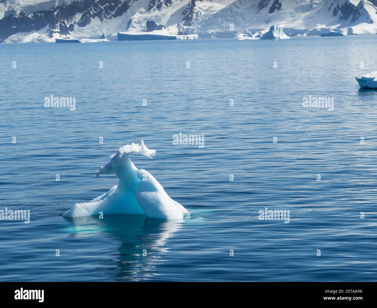 Small "growler" Icebergs in the Croker Passage between Two Hummock and ...