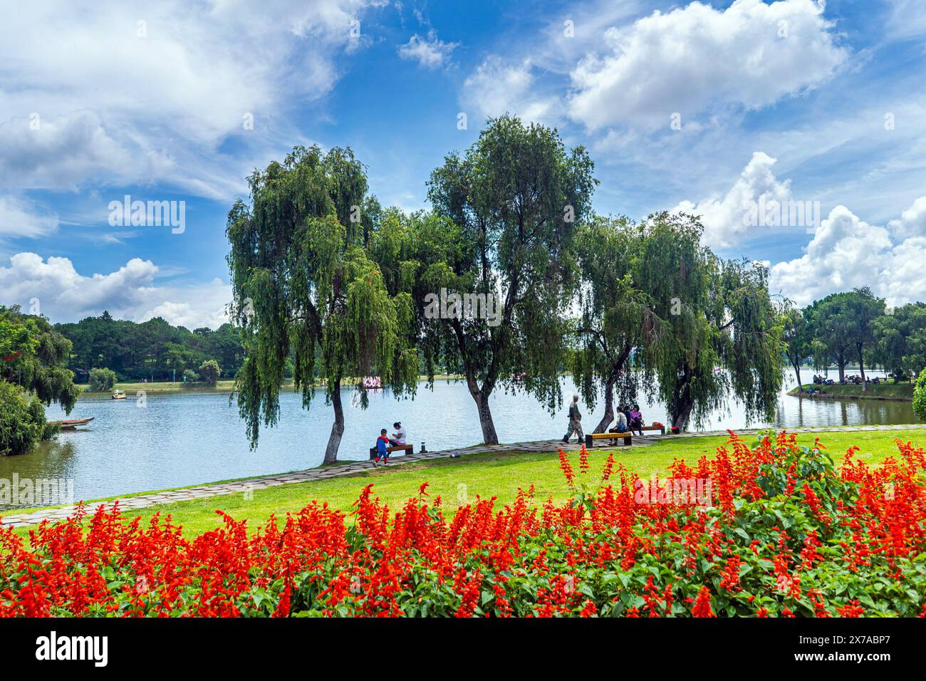 Xuan Huong Lake is the largest and most beautiful man-made Dalat lake. It is also an iconic ...