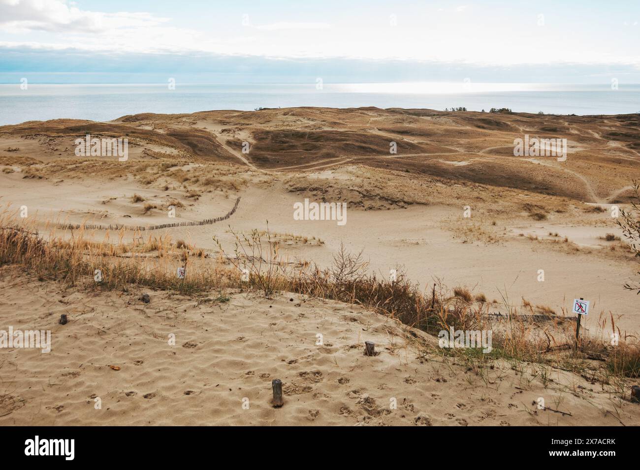 the Curonian Spit sand dunes, the highest moving dunes in Europe. A ...