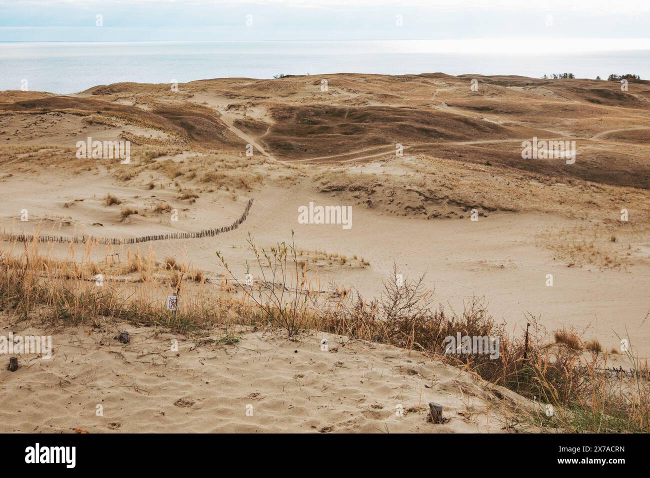 the Curonian Spit sand dunes, the highest moving dunes in Europe. A ...