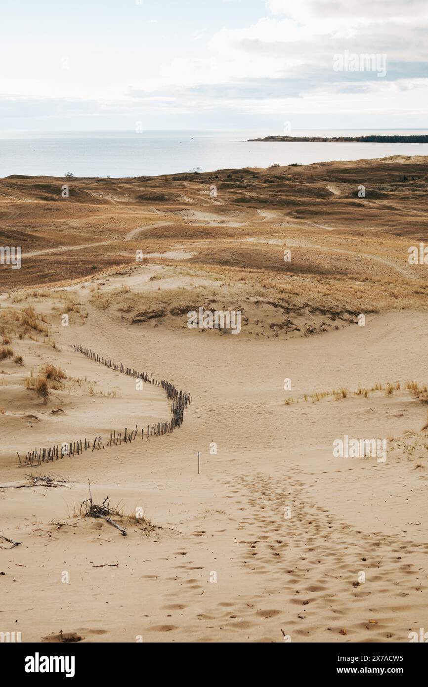 looking out over the forest and sand dunes of the Curonian Spit, a ...