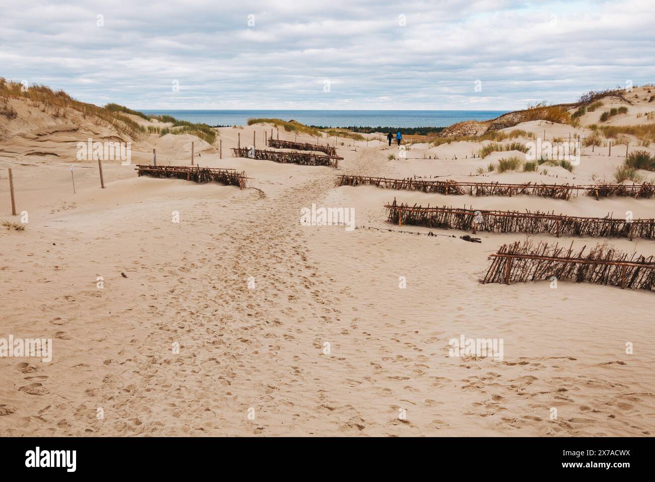 Plants as wind breaks hi-res stock photography and images - Alamy