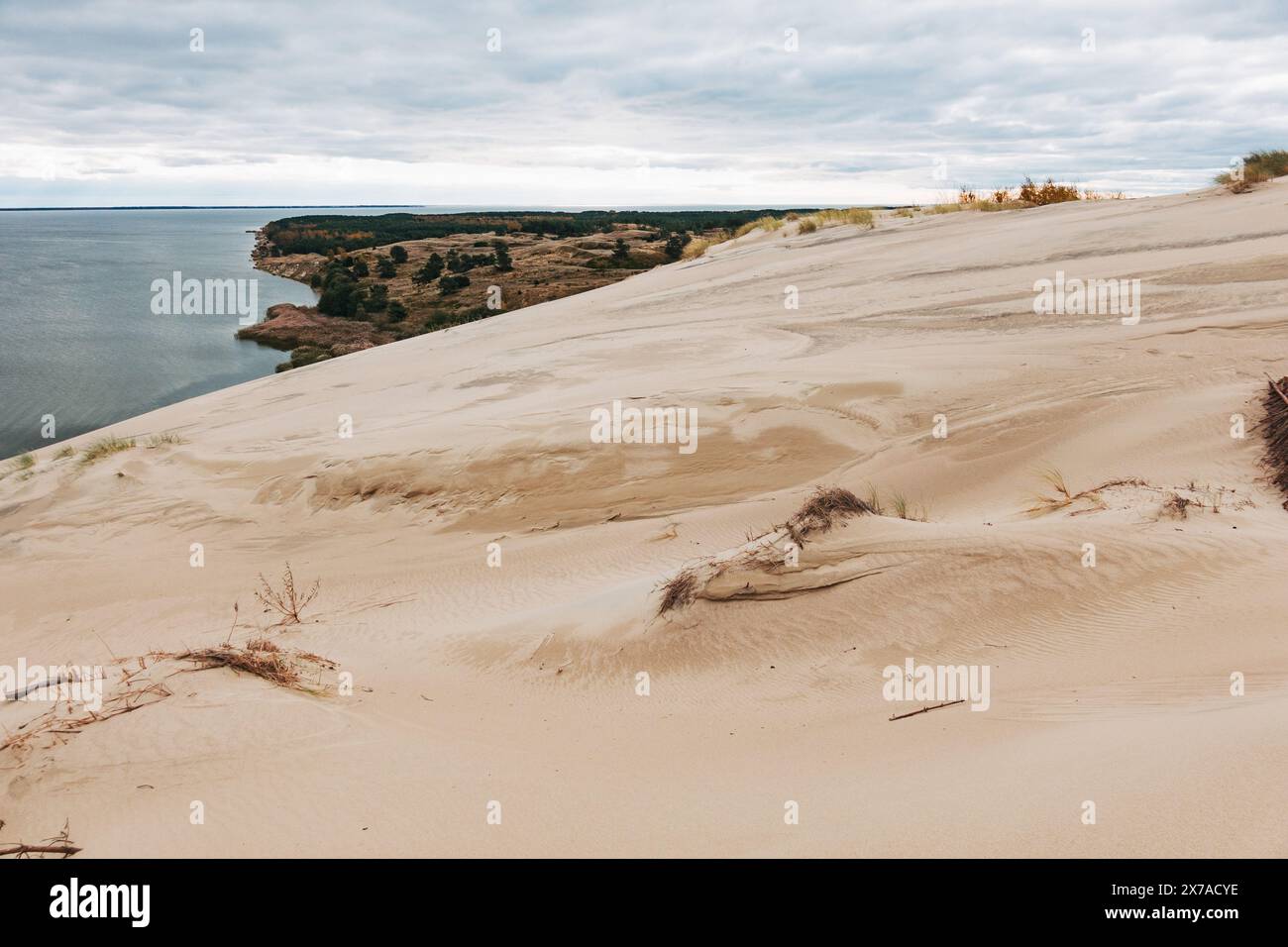 looking out over the forest and sand dunes of the Curonian Spit, a ...