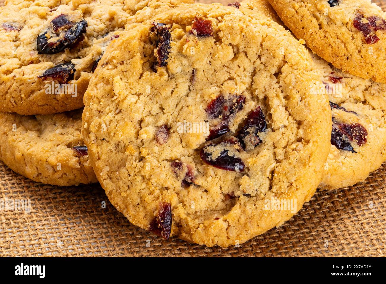 Extreme closeup pile of homemade crispy circular oat flakes and ...