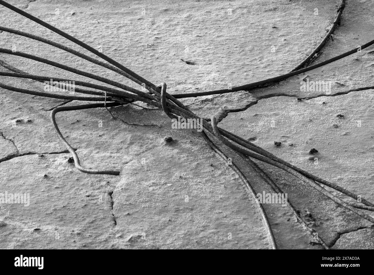Close-up black and white image of rusty metal wires on a cracked ...
