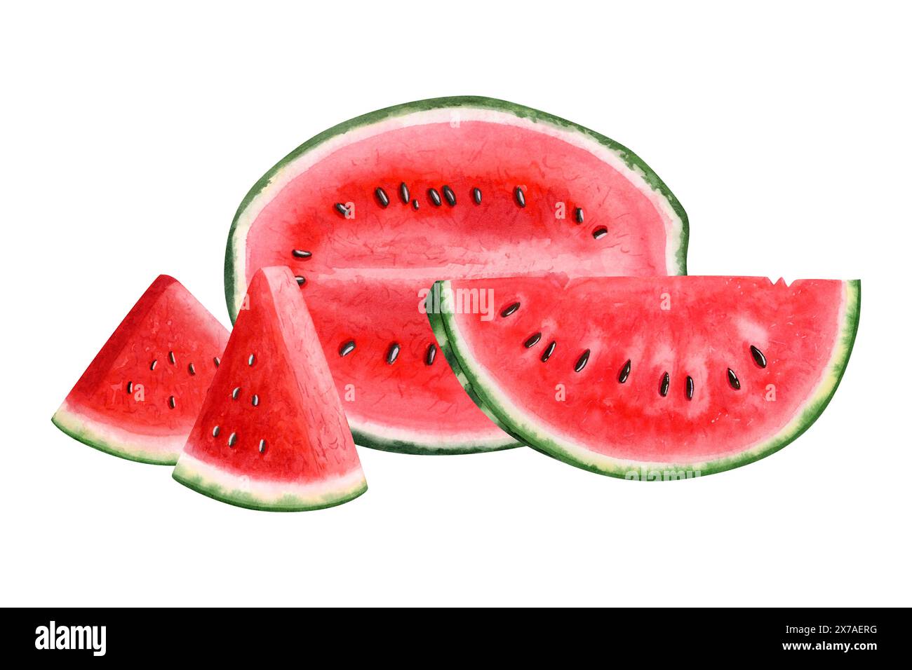 Ripe watermelon slices of different shapes with seeds watercolor ...
