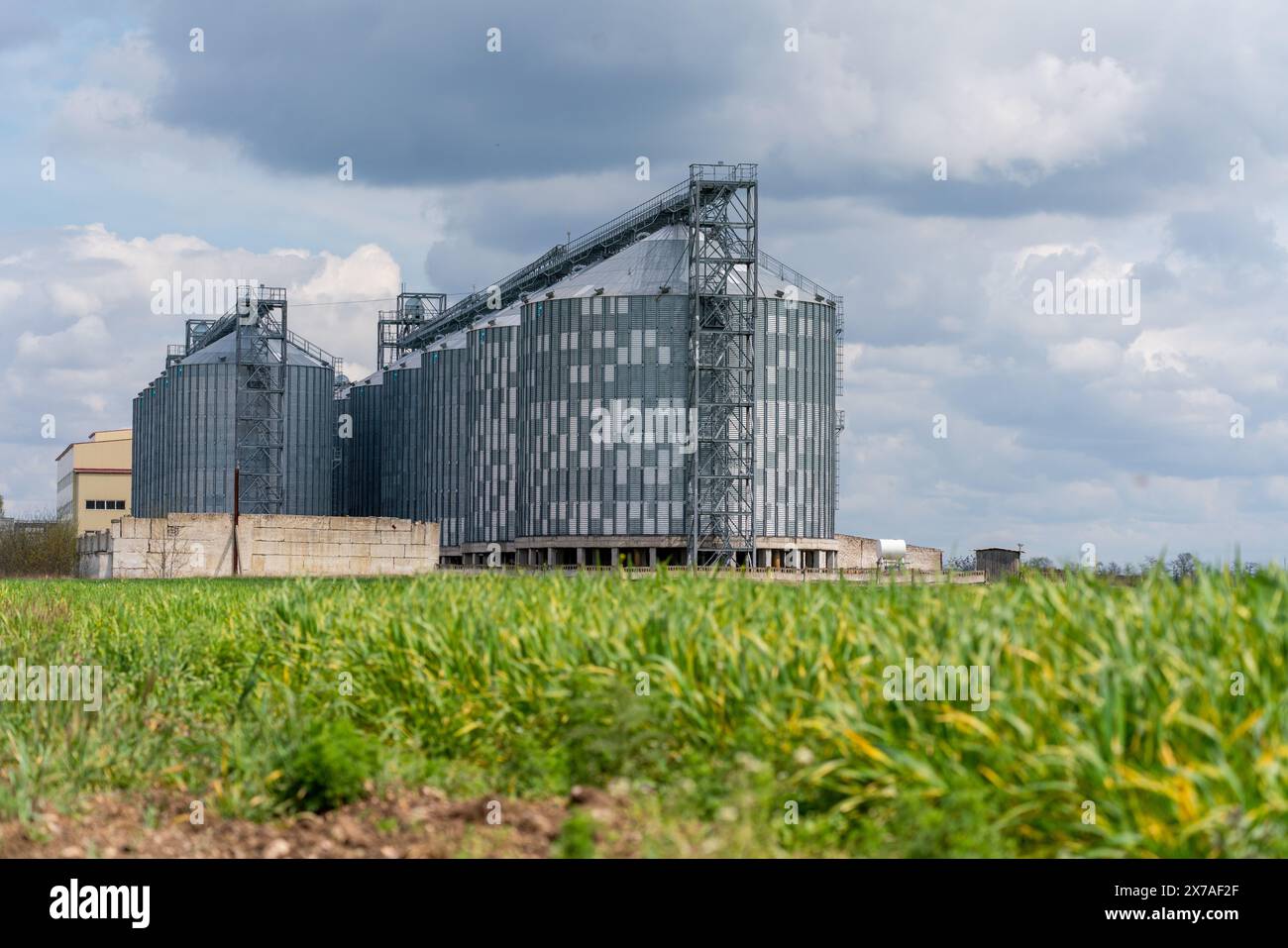 Granaries agriculture harvest steel grain hi-res stock photography and ...