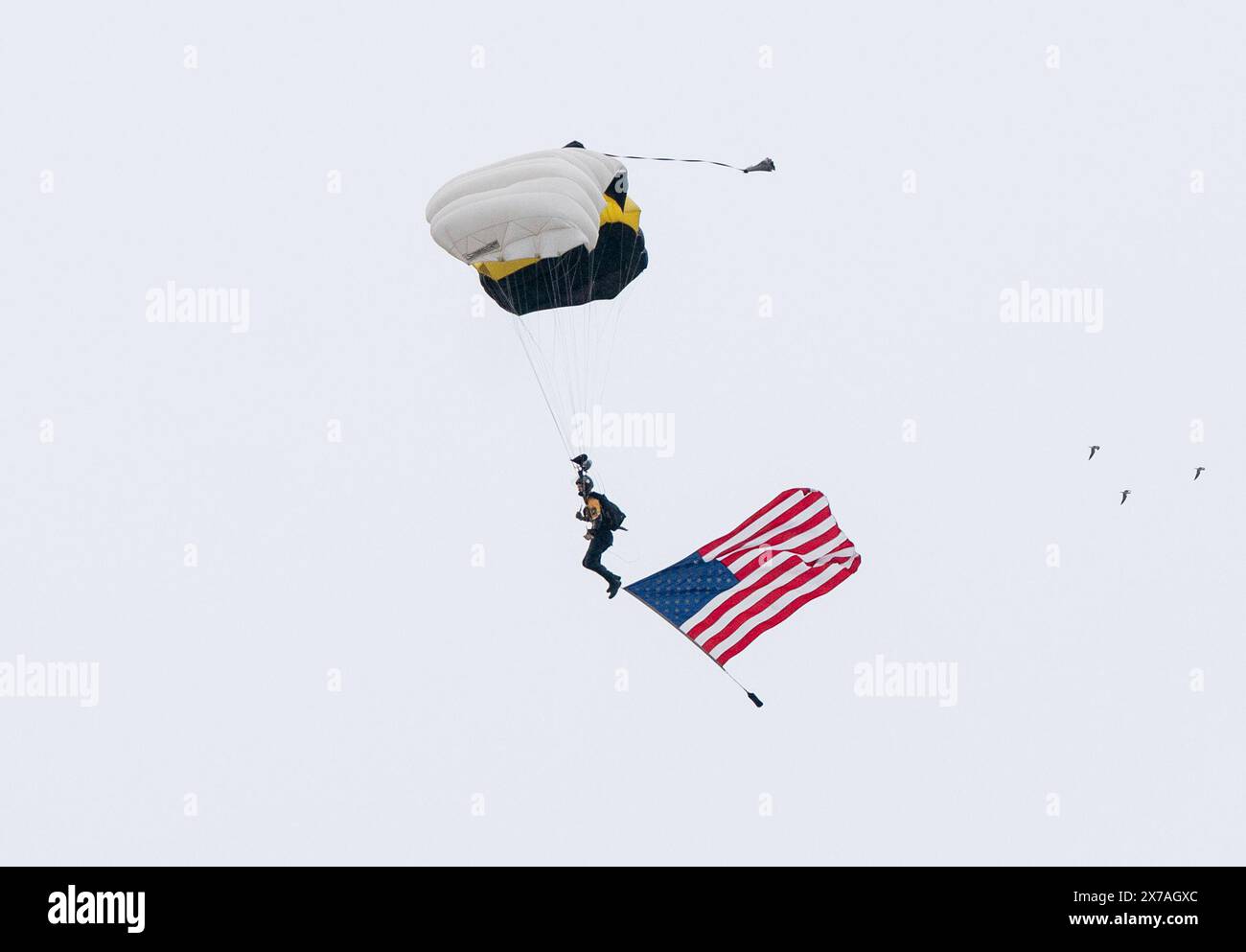 Member of West Point Military Academy parachute team performs jump ...