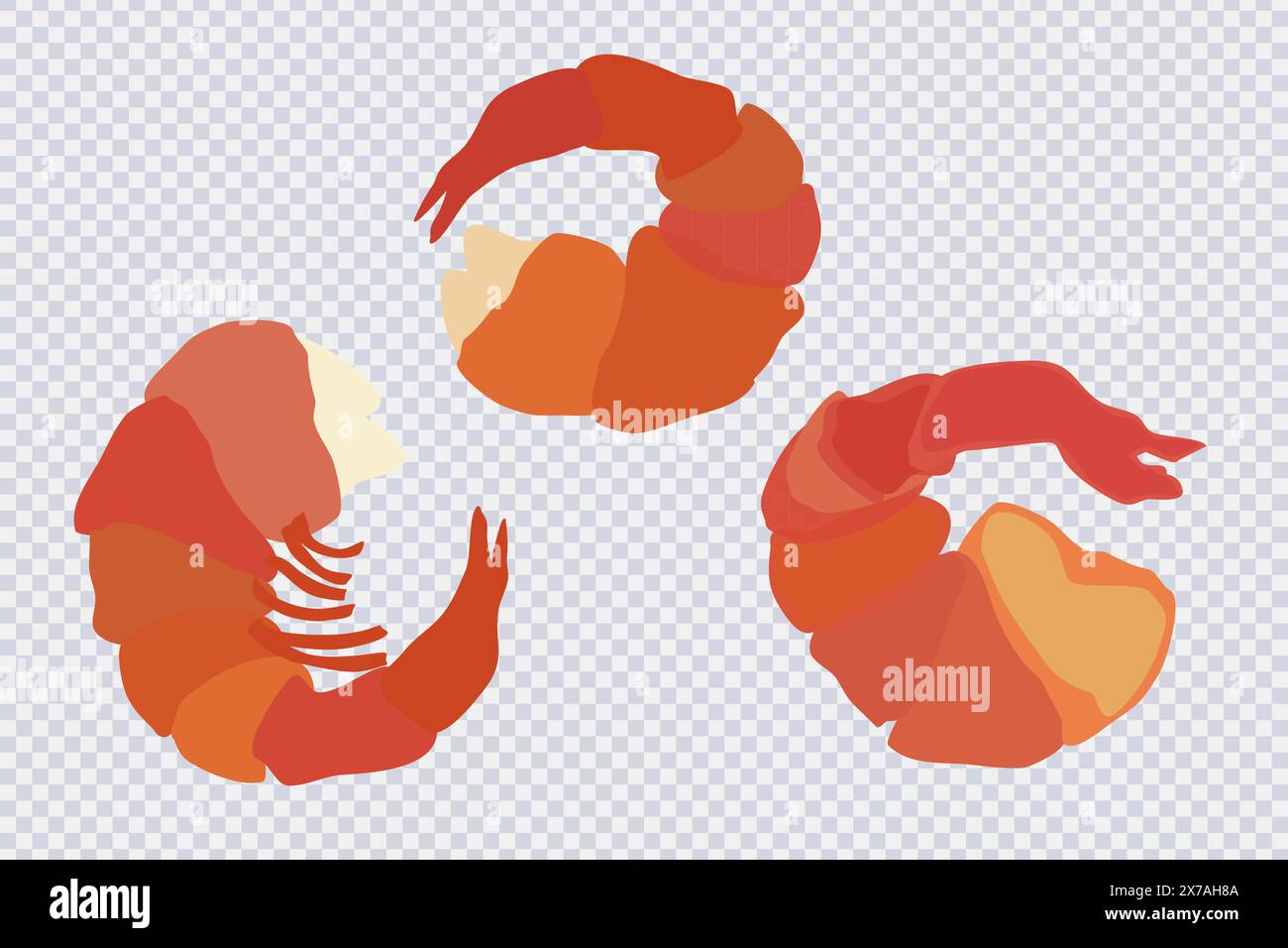 Shrimp prawn icons set. Boiled Shrimp drawing in flat style isolated on ...