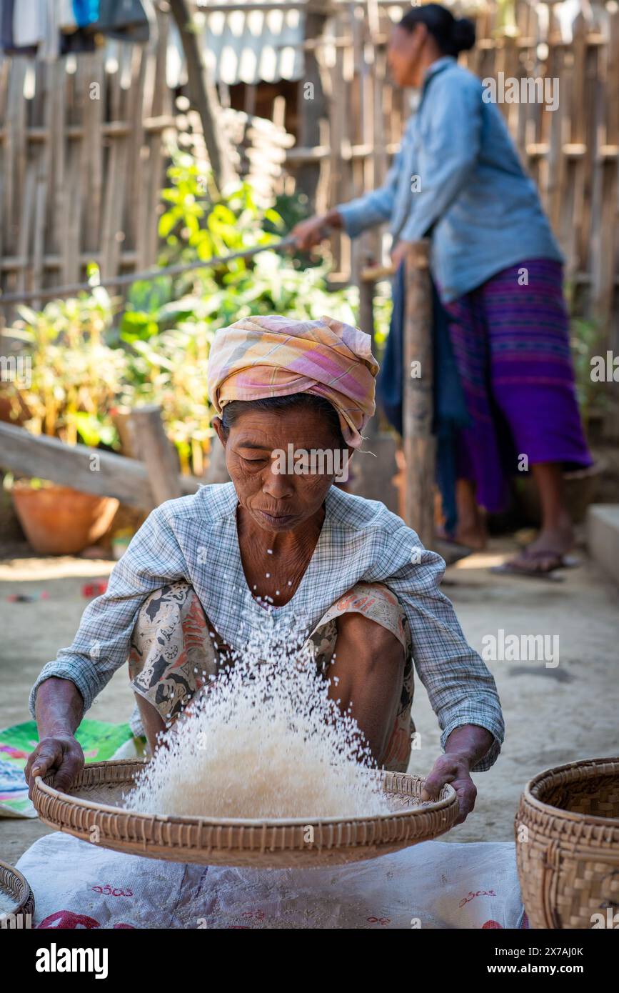 Women farm worker is seen in Myanmar on January 2017 Stock Photo - Alamy