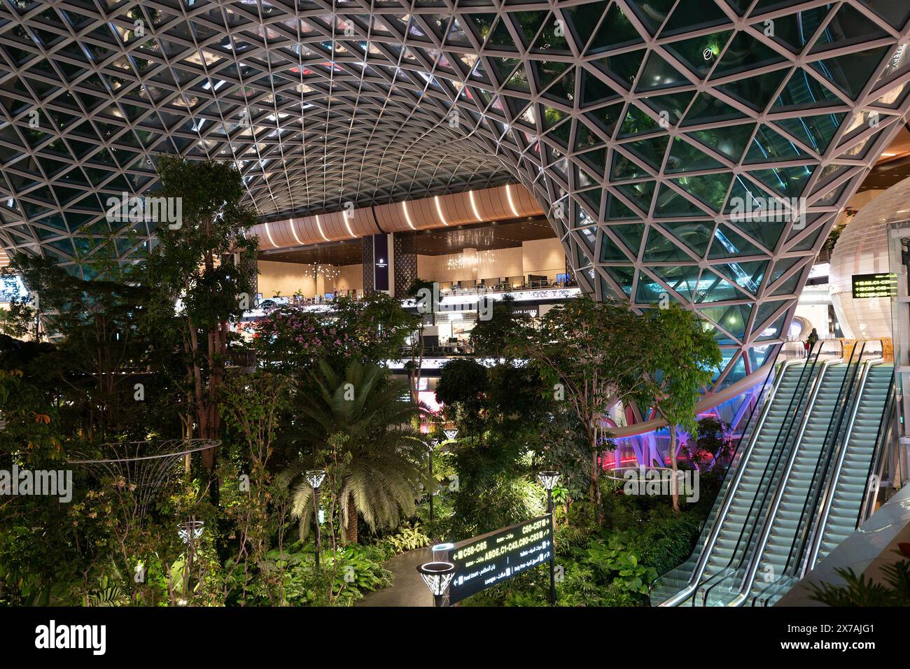 DOHA, QATAR - OCTOBER 13, 2023: indoor tropical garden, known as The Orchard in Doha’s Hamad ...