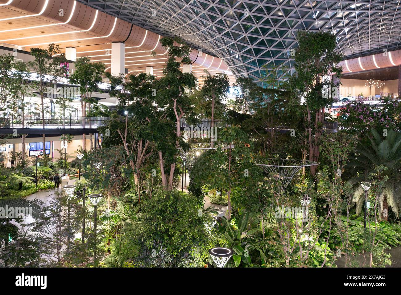 DOHA, QATAR - OCTOBER 13, 2023: indoor tropical garden, known as The Orchard in Doha’s Hamad ...