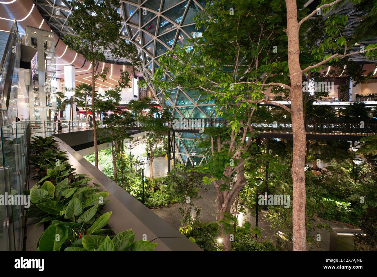 DOHA, QATAR - OCTOBER 13, 2023: indoor tropical garden, known as The Orchard in Doha’s Hamad ...