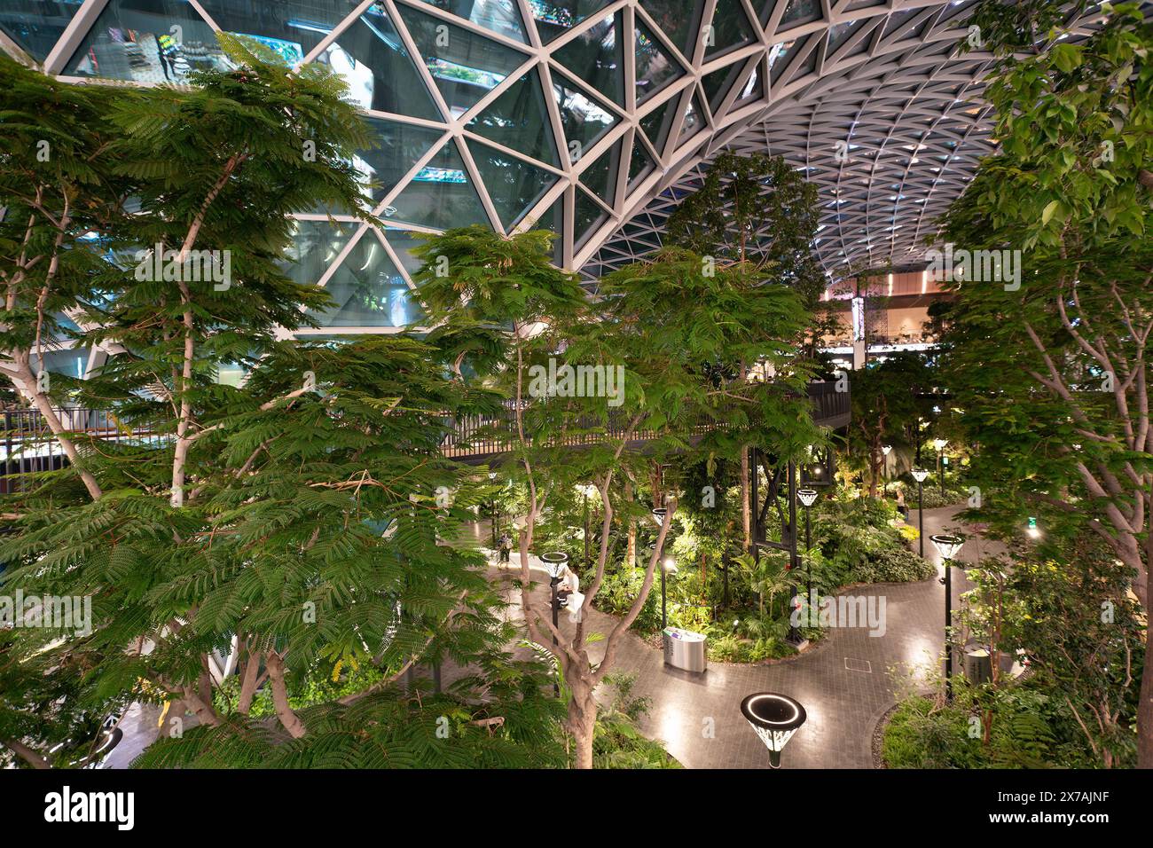 DOHA, QATAR - OCTOBER 13, 2023: indoor tropical garden, known as The Orchard in Doha’s Hamad ...