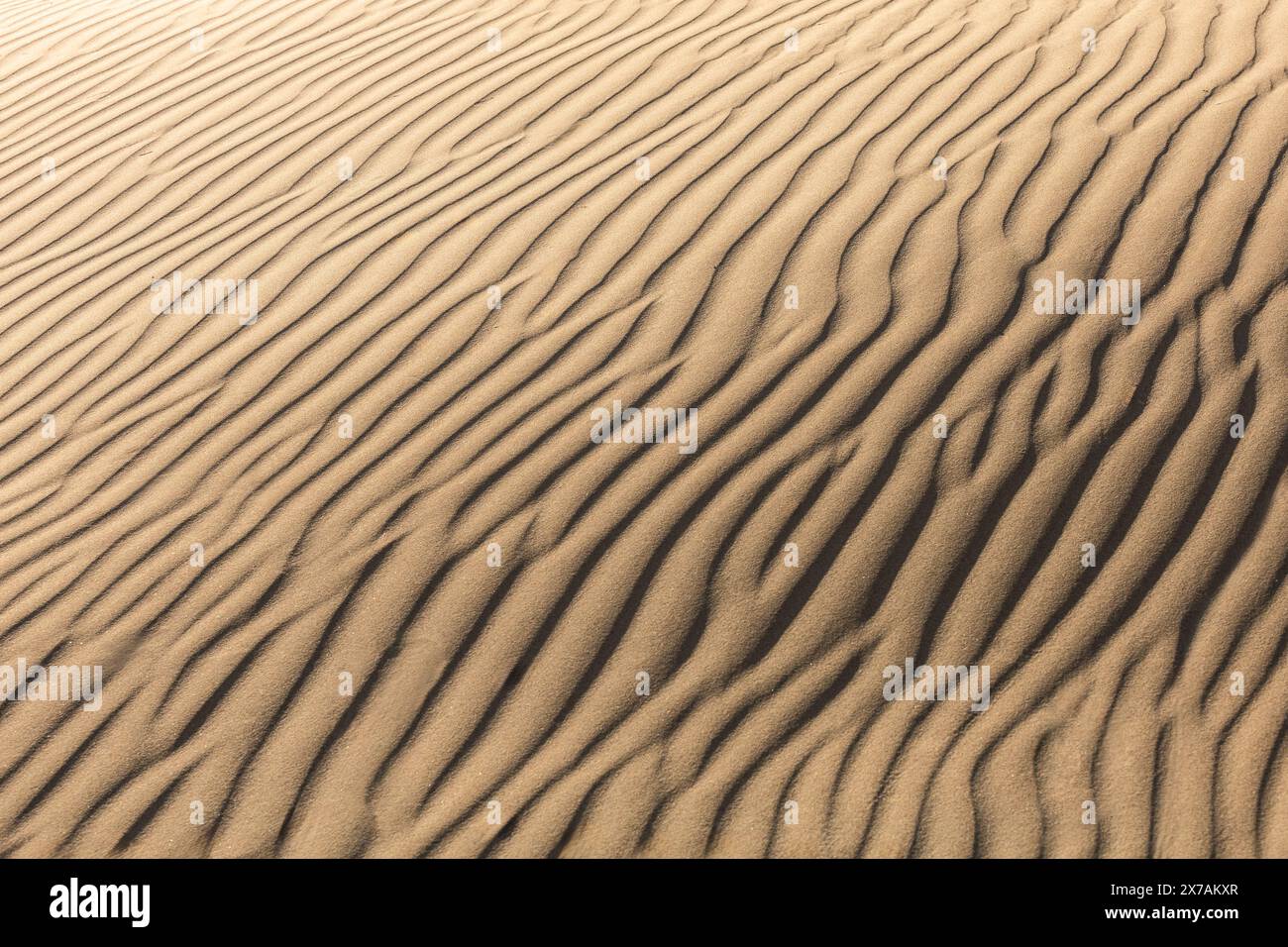 Blur grain texture hi-res stock photography and images - Alamy