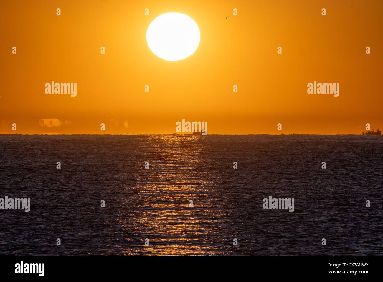 Bright yellow sunrise sun illuminating flying seagulls and a fishing ...