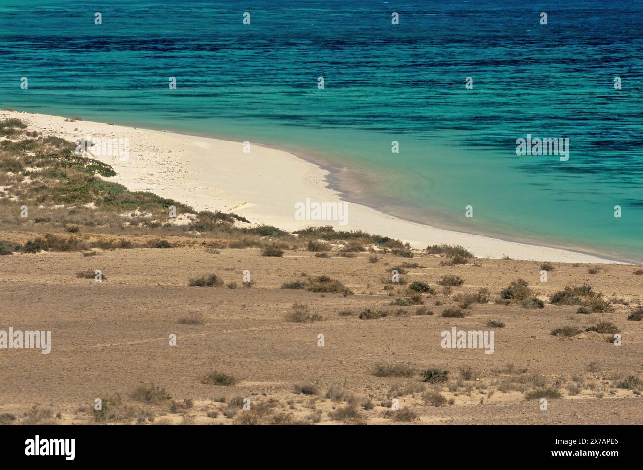 Kamaran Island is the largest Yemeni island in the Red Sea. The 108 km2 ...
