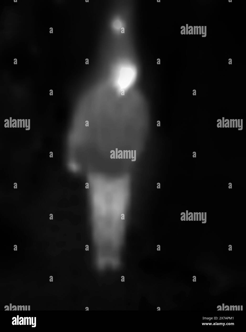 Newgate bird hi-res stock photography and images - Alamy