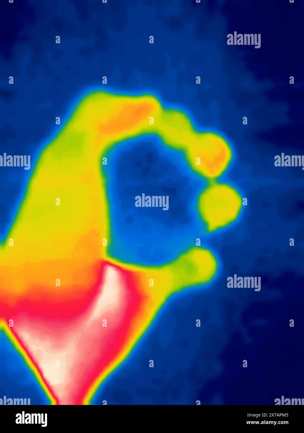 snowball in hand, snowball fight. Modified Image from thermal imager ...
