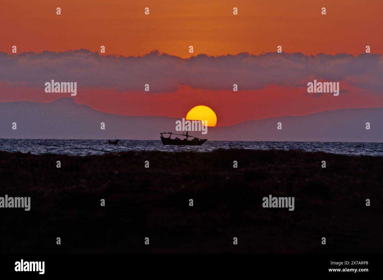 Kamaran Island is the largest Yemeni island in the Red Sea. The 108 km2 ...