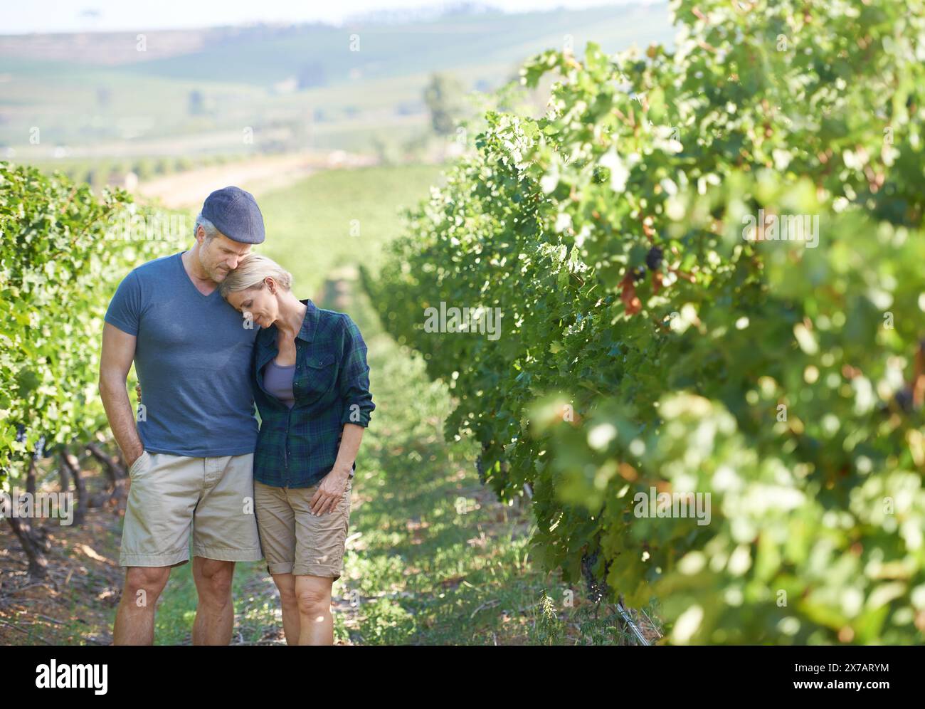 Couple, vineyard and agriculture for business people, wine and farm ...