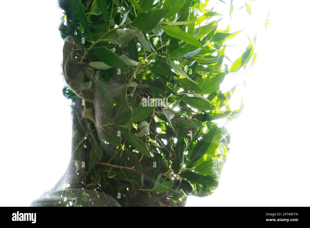 A half profile double exposure portrait silhouette of a man Stock Photo ...