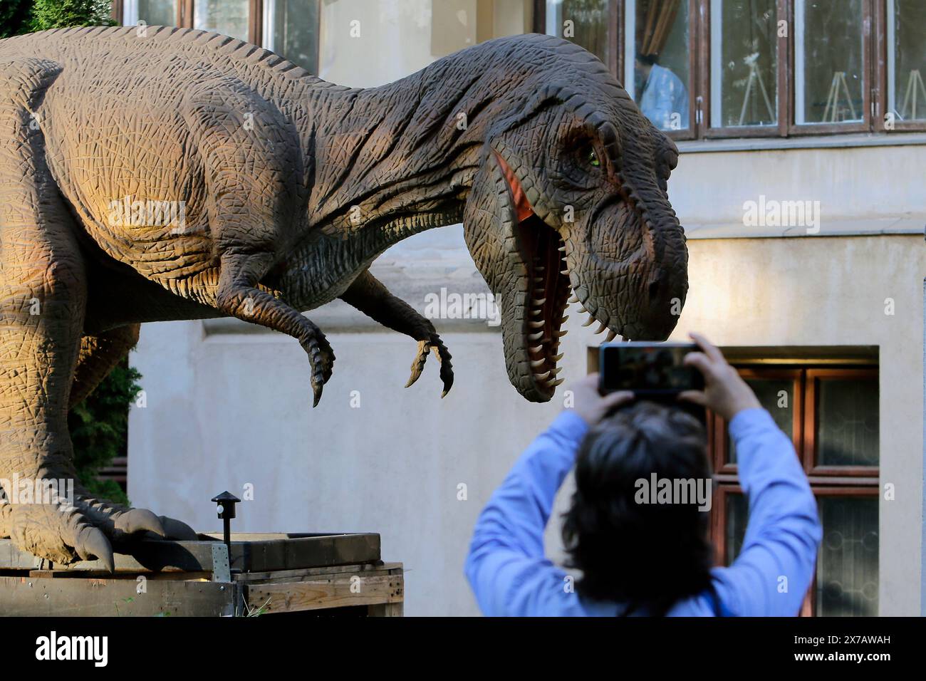 Bucharest, Romania. 18th May, 2024. A person takes photos of a dinosaur ...