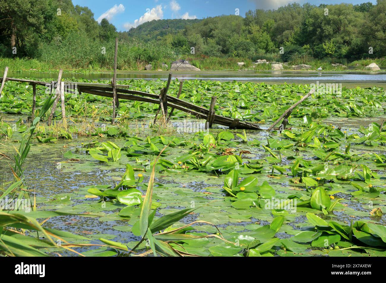 The photo was taken in Ukraine, on the Southern Bug River. The photo ...
